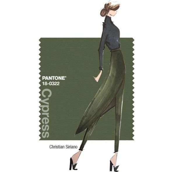 Friday Fashion-Cypress Color - Cyndi Spivey