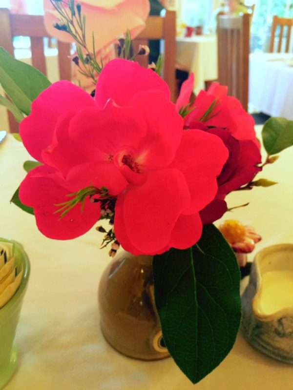 My Week in Pictures From #rsthecon - Cyndi Spivey